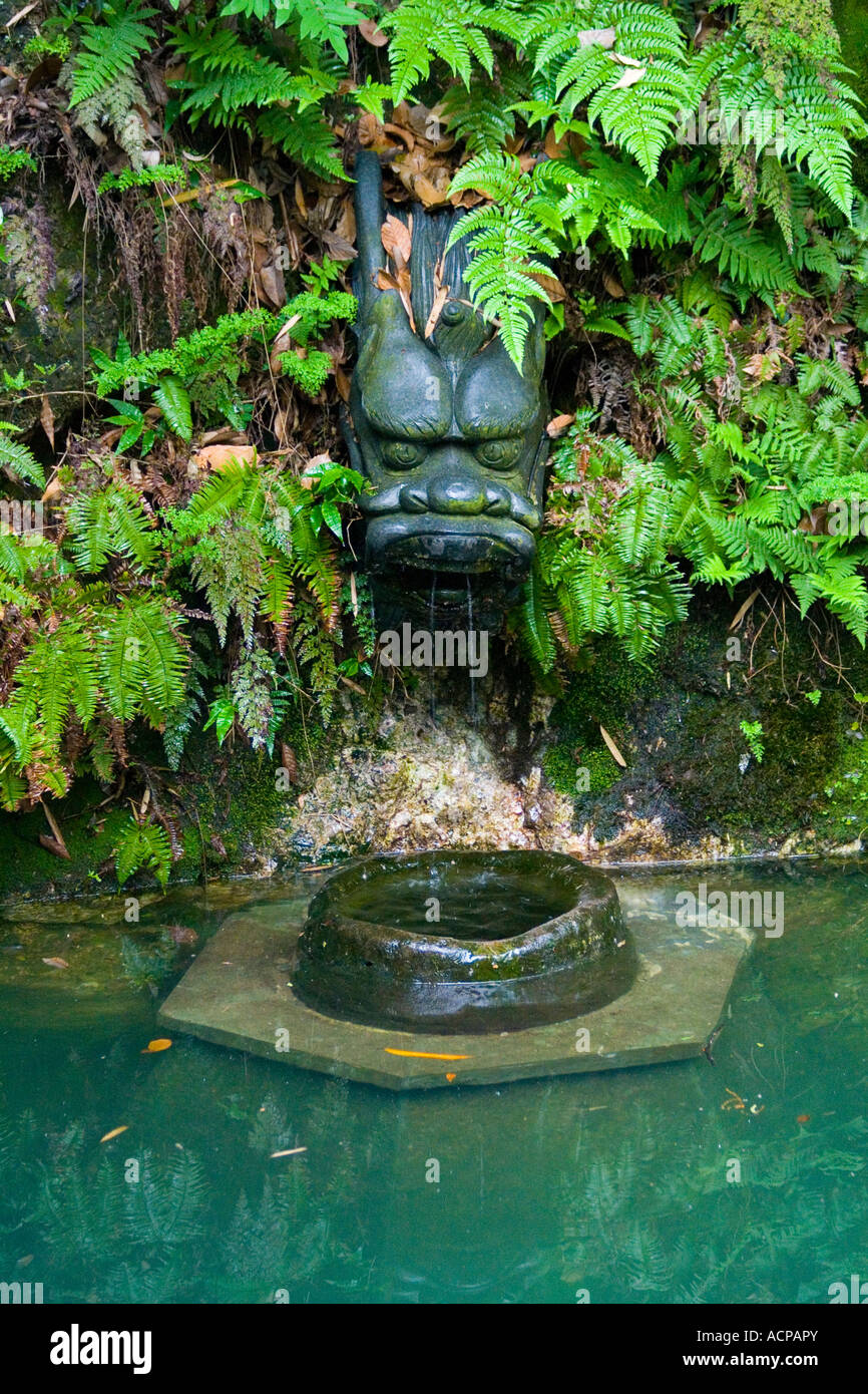 Famous Dragon Well Longjing Village Hangzhou China Stock Photo - Alamy