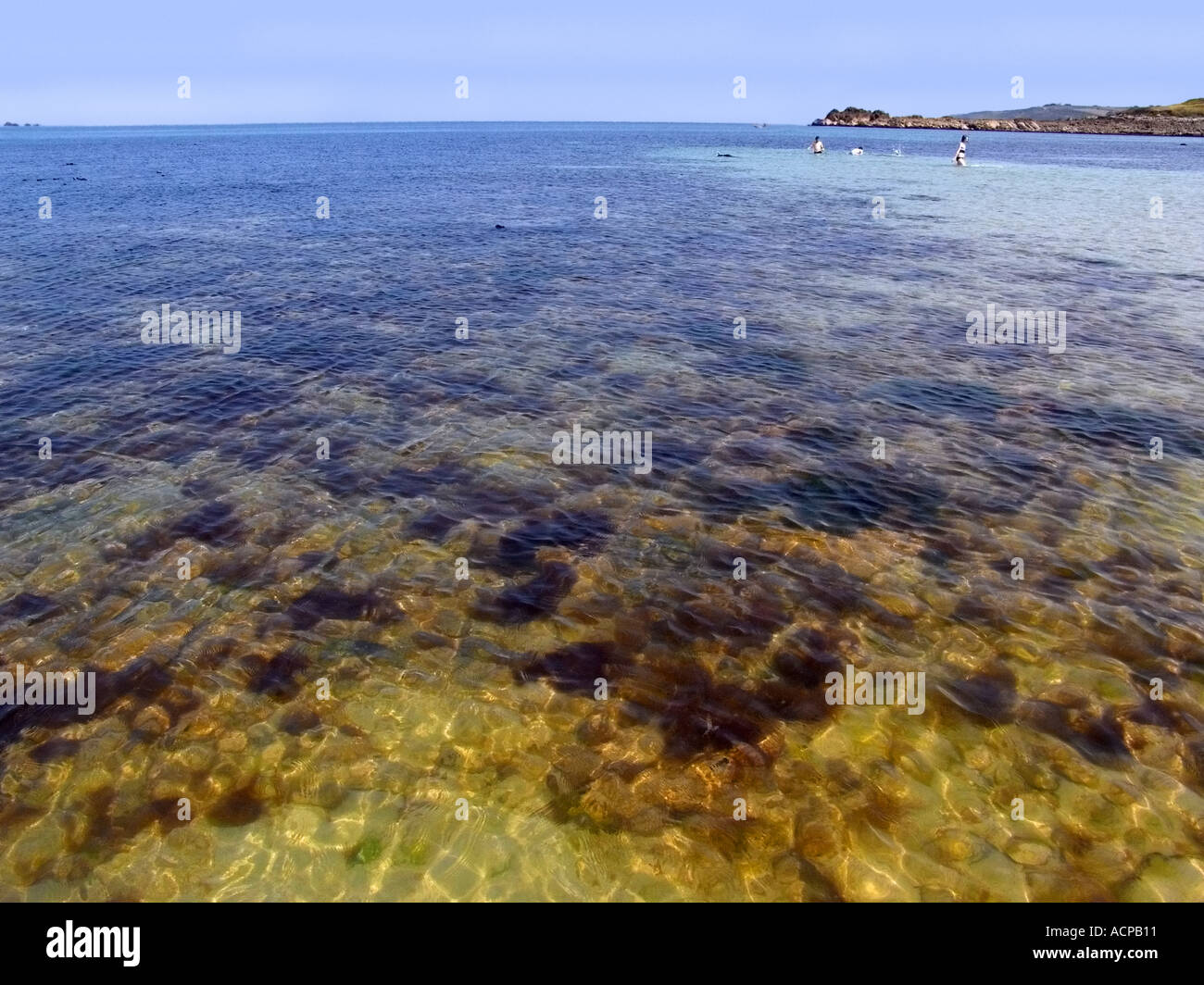 france brittany finistere armorican corniche amorique peninsula pointe ...