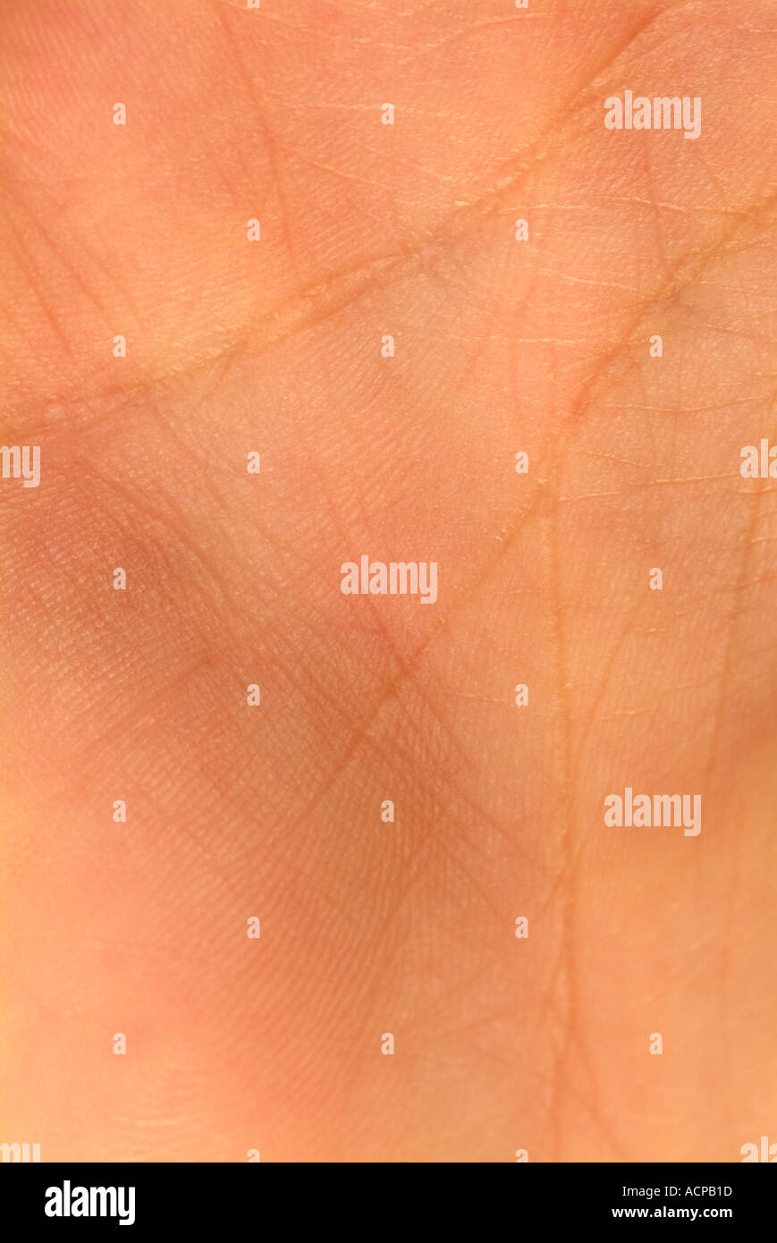 Human skin background hi-res stock photography and images - Alamy
