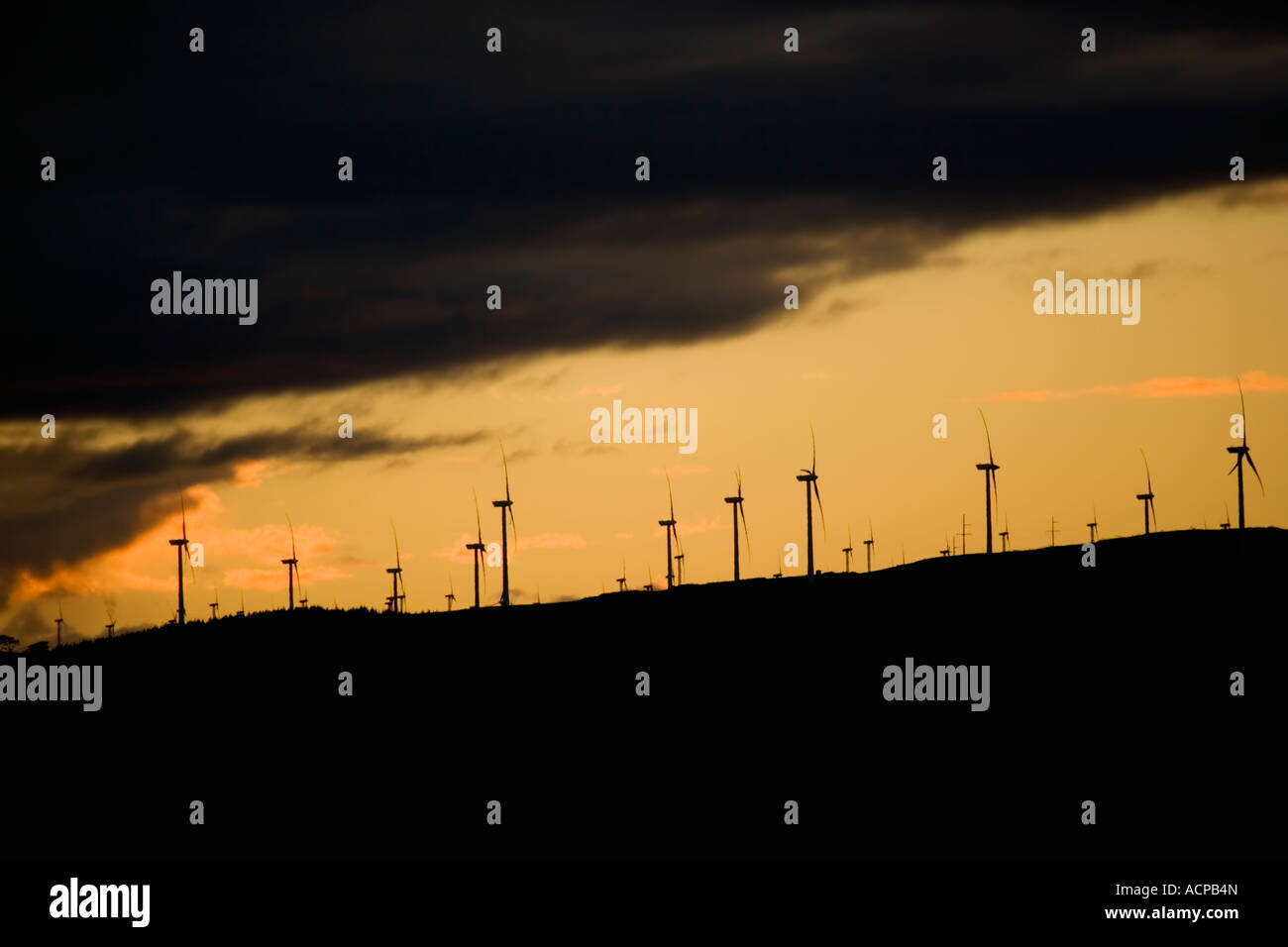 Tararua hi-res stock photography and images - Alamy