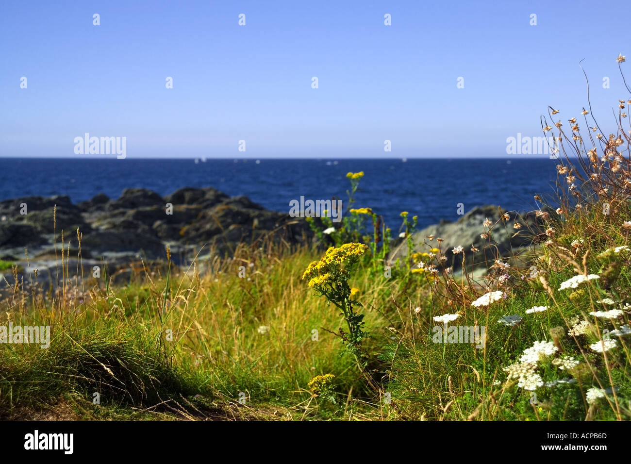 france brittany finistere armorican corniche amorique peninsula presqu ...