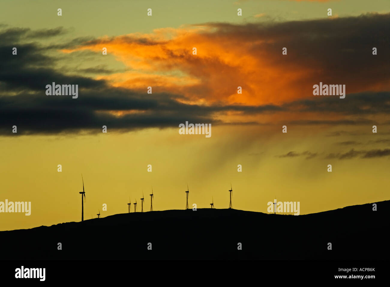 Tararua hi-res stock photography and images - Alamy