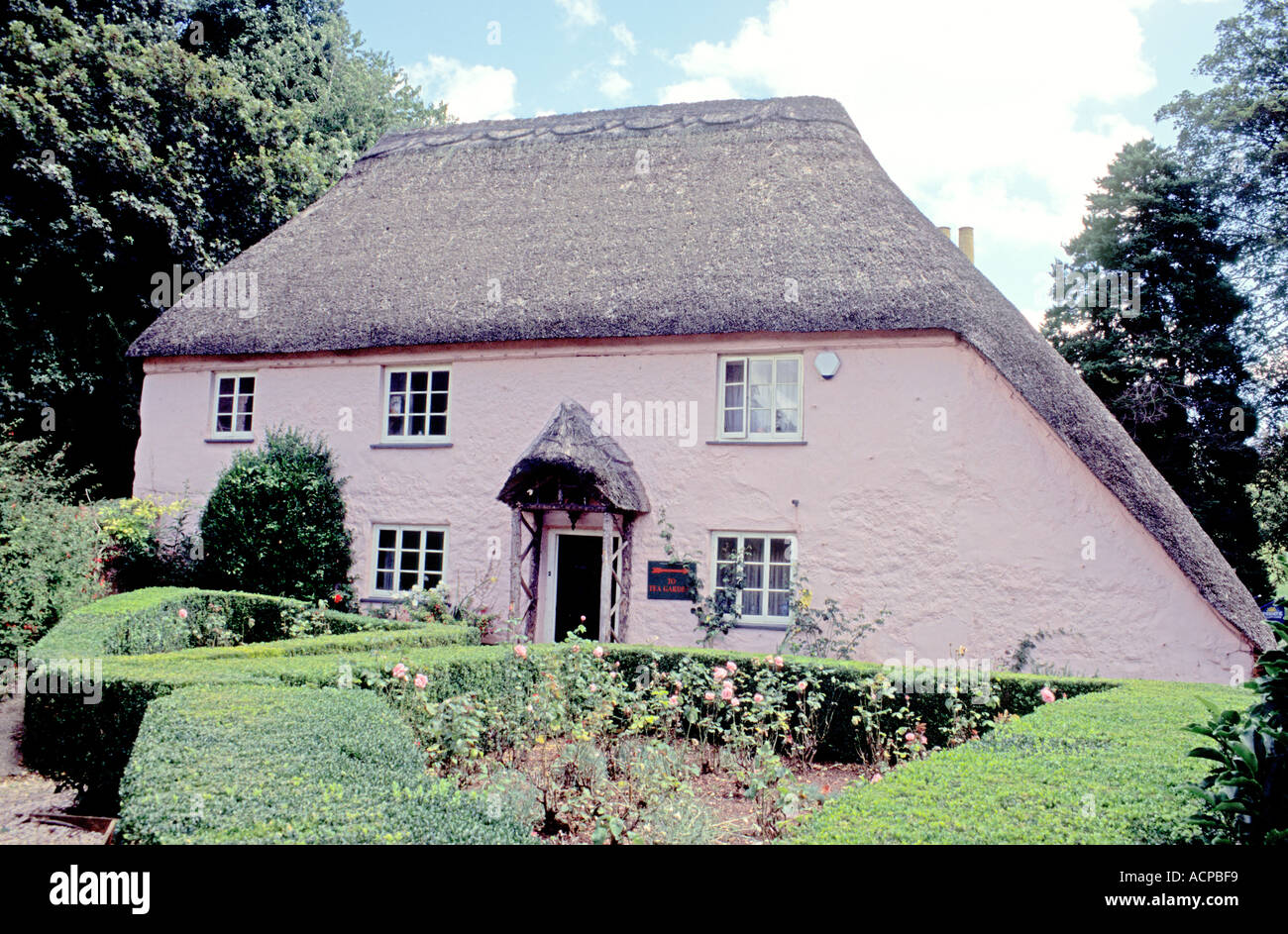 Rose Cottage In Cockington In Devon In England Stock Photo - Alamy