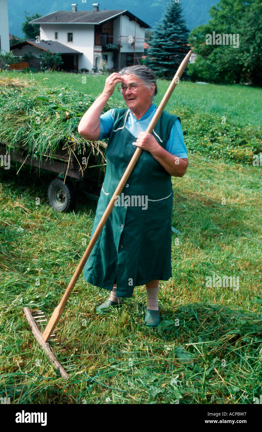 Farmer woman making hay Stock Photo - Alamy