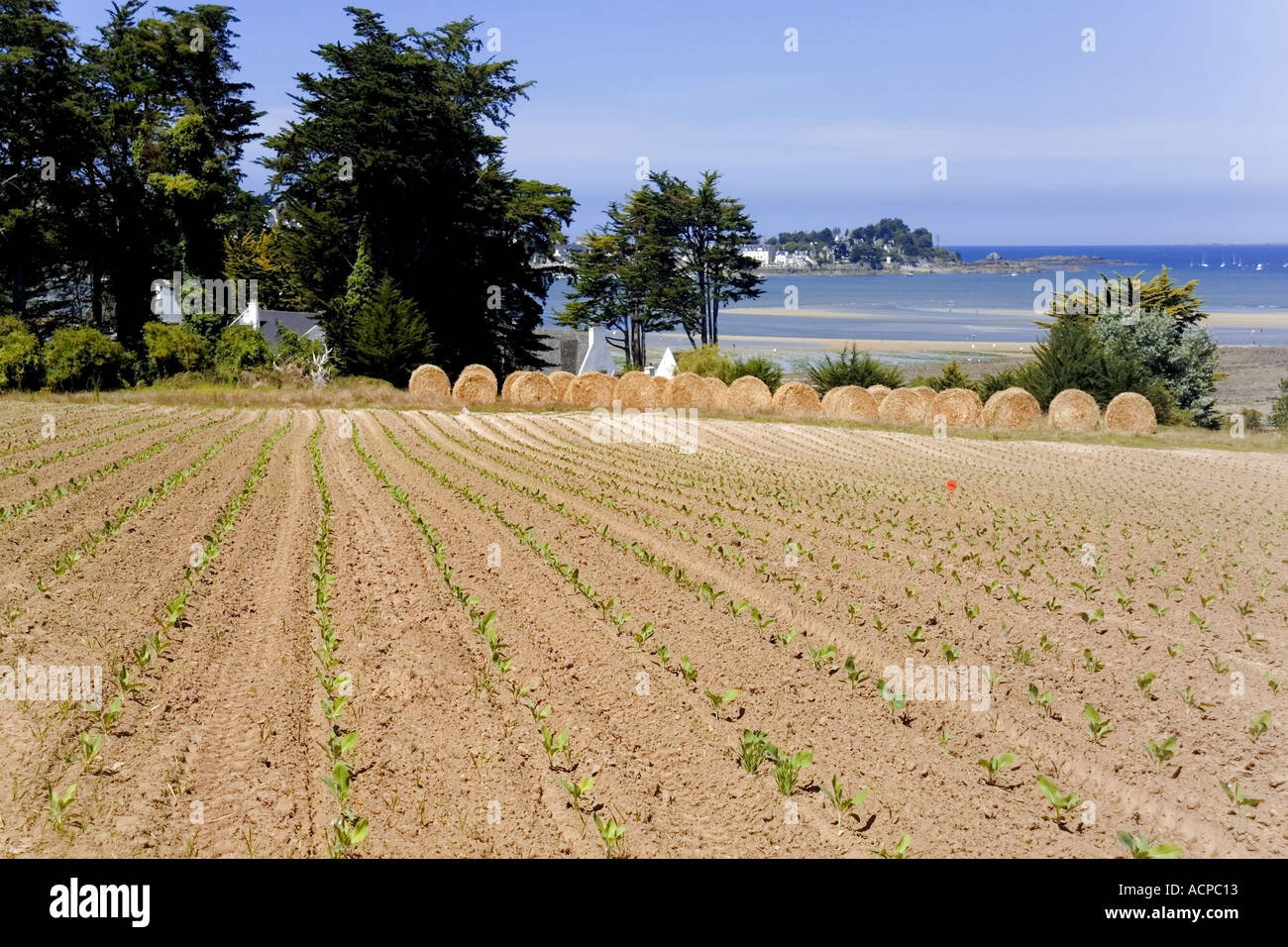 france brittany finistere amorican corniche golden belt heather coast ...