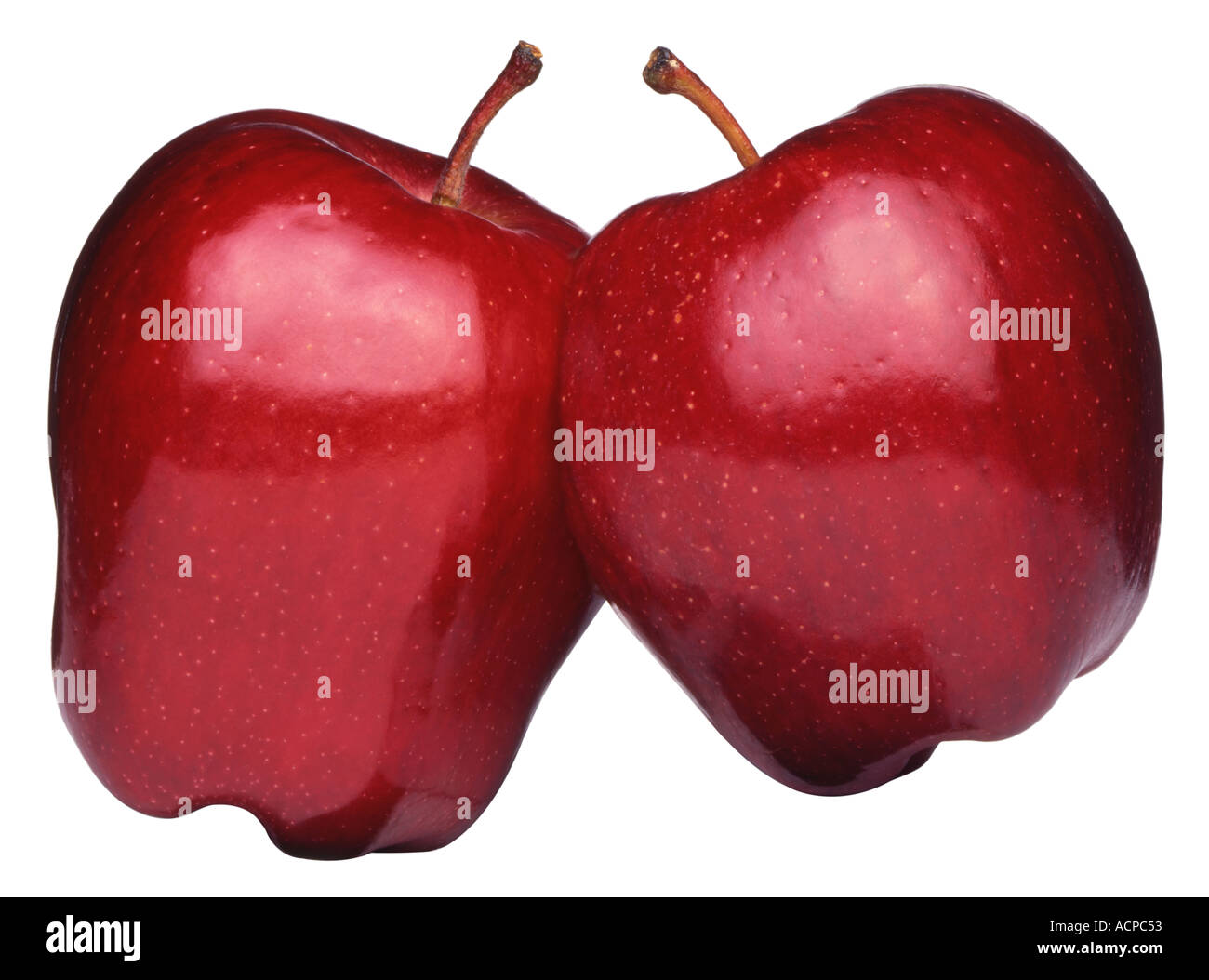 Two testicles hi-res stock photography and images - Alamy