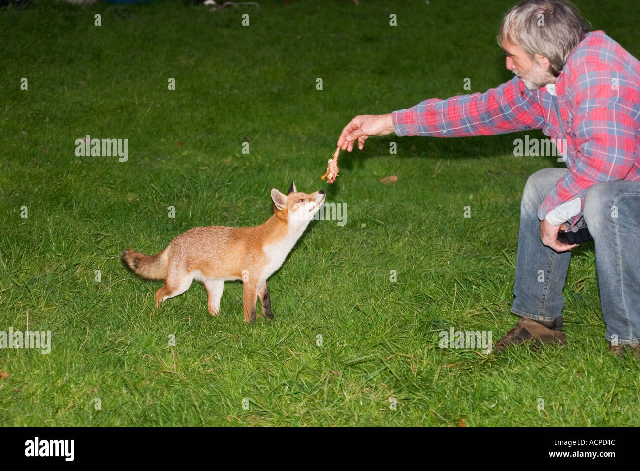 Food rescue hi-res stock photography and images - Alamy