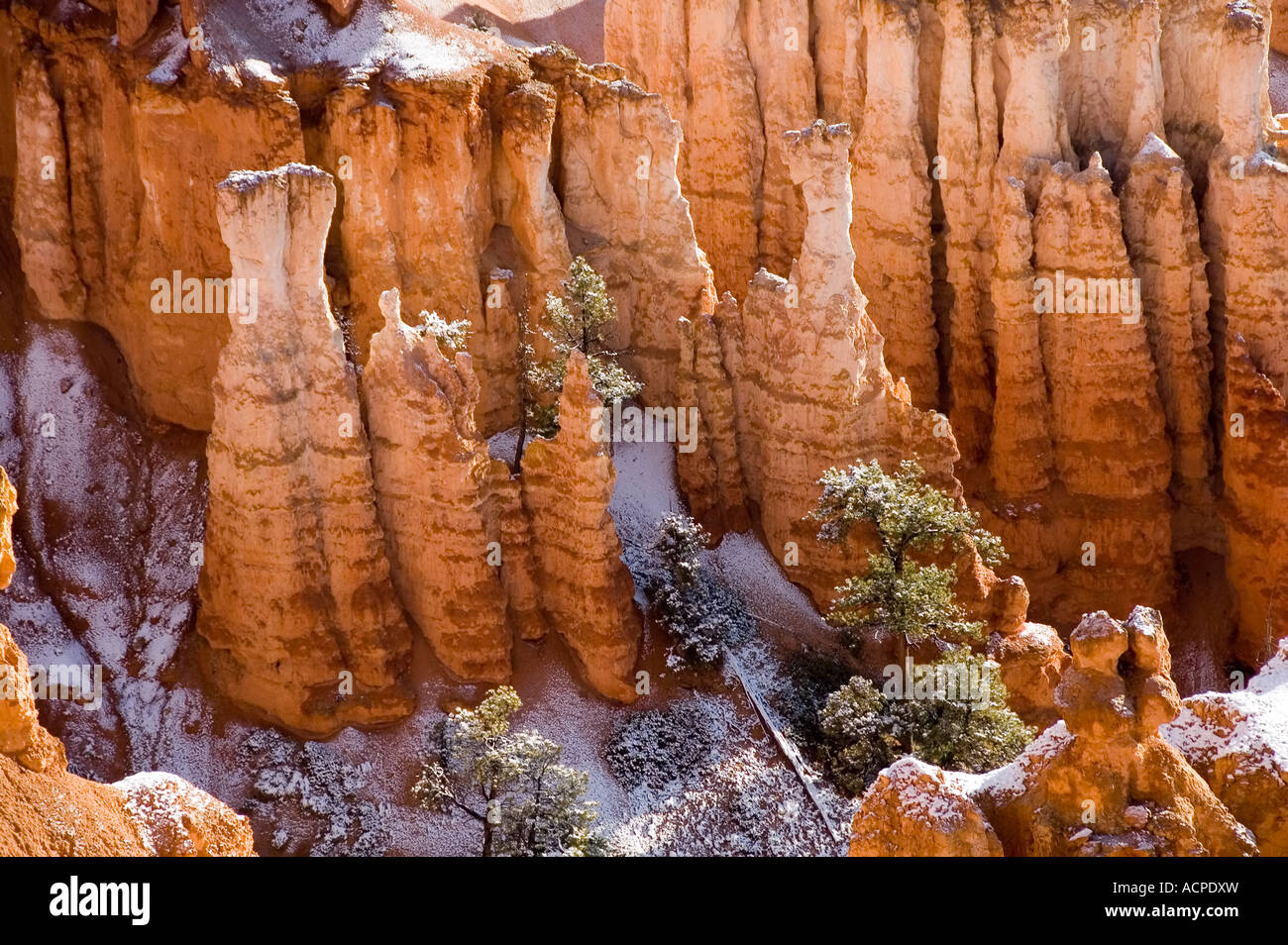 A picture illustrating some of the many of the features of Bryce Canyon ...