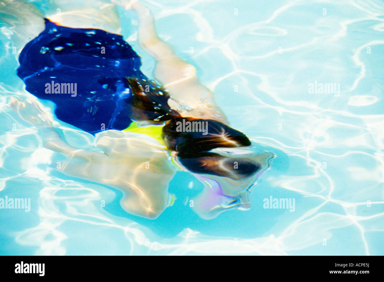 Female diver wearing swimsuit hi-res stock photography and images - Alamy