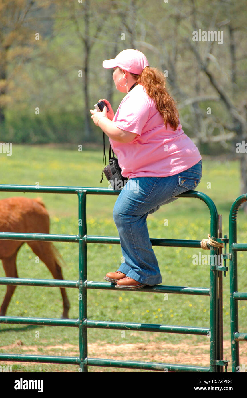Very large woman on fence at dude ranch in the country watching cattle ...