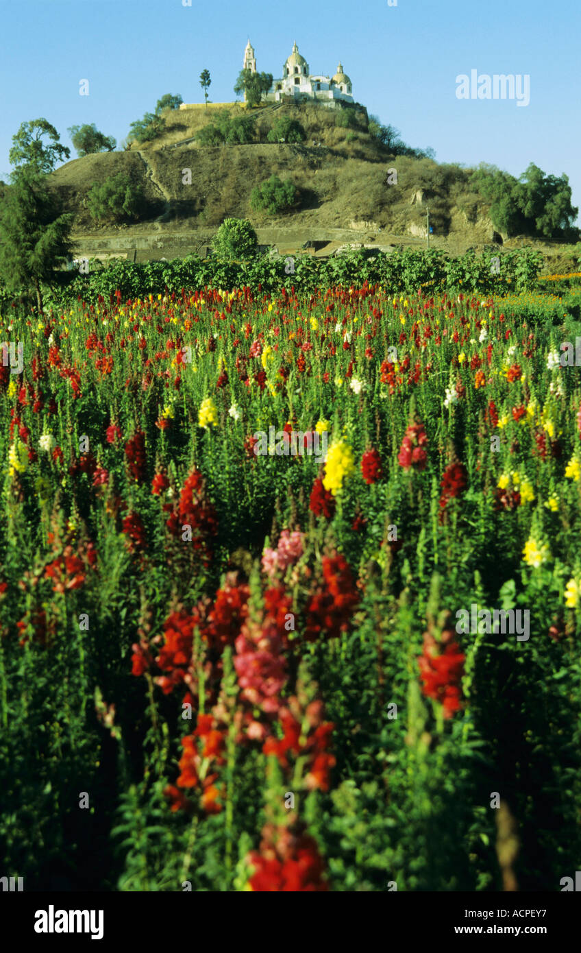 Pyramid of Cholula, Puebla, Mexico Stock Photo - Alamy