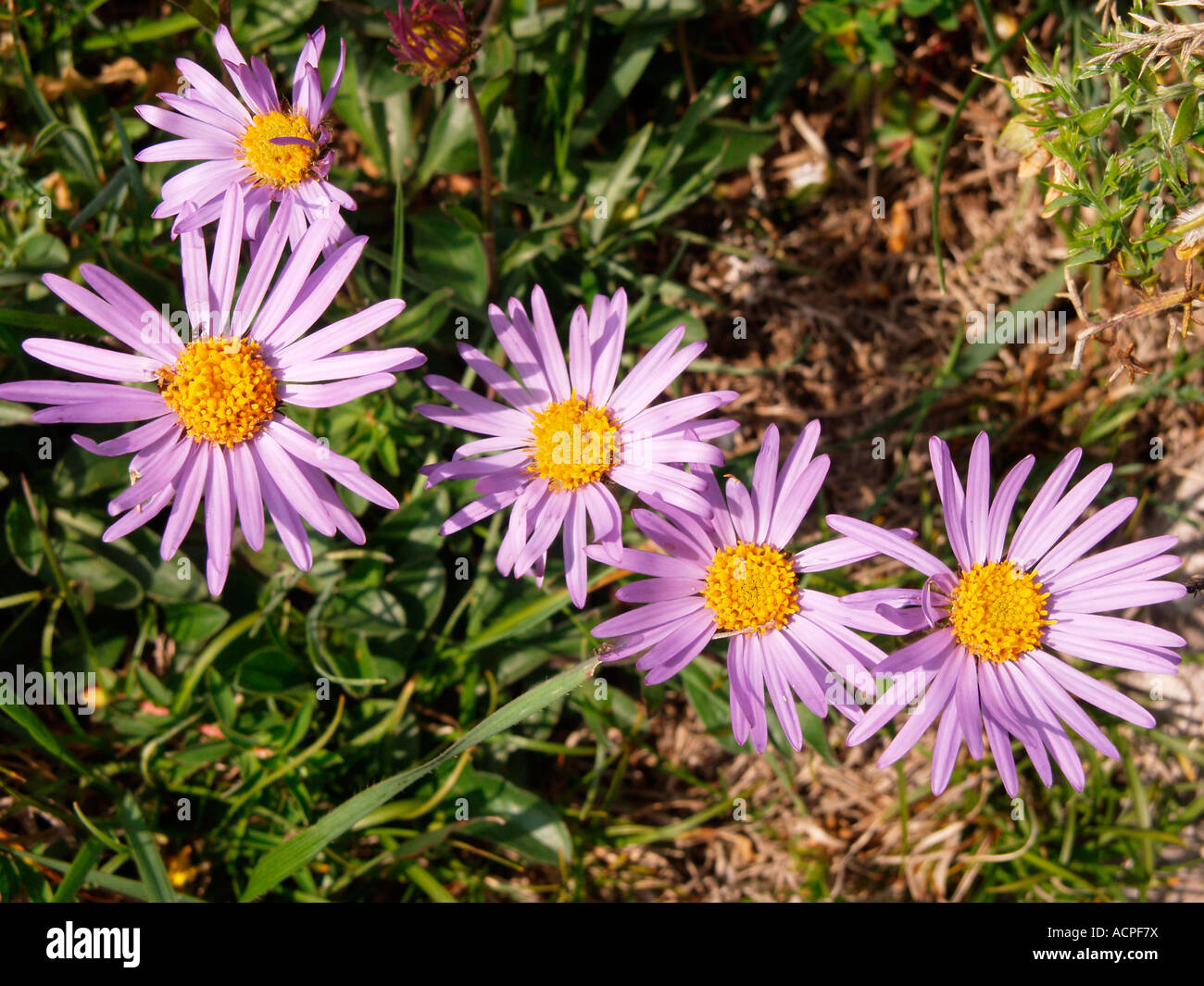 Redes natural park hi-res stock photography and images - Alamy