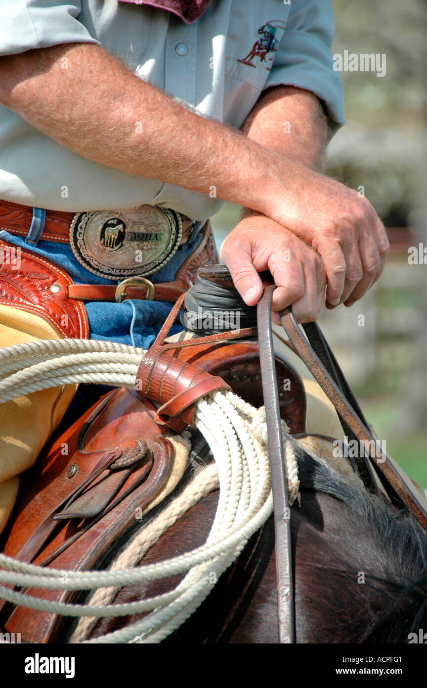 Working cowgirls hi-res stock photography and images - Alamy