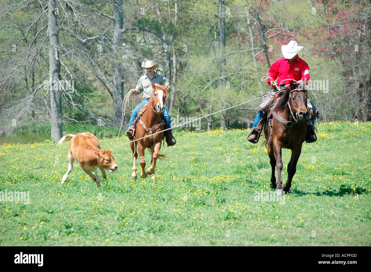 Kids pony ride cowboys hi-res stock photography and images - Alamy