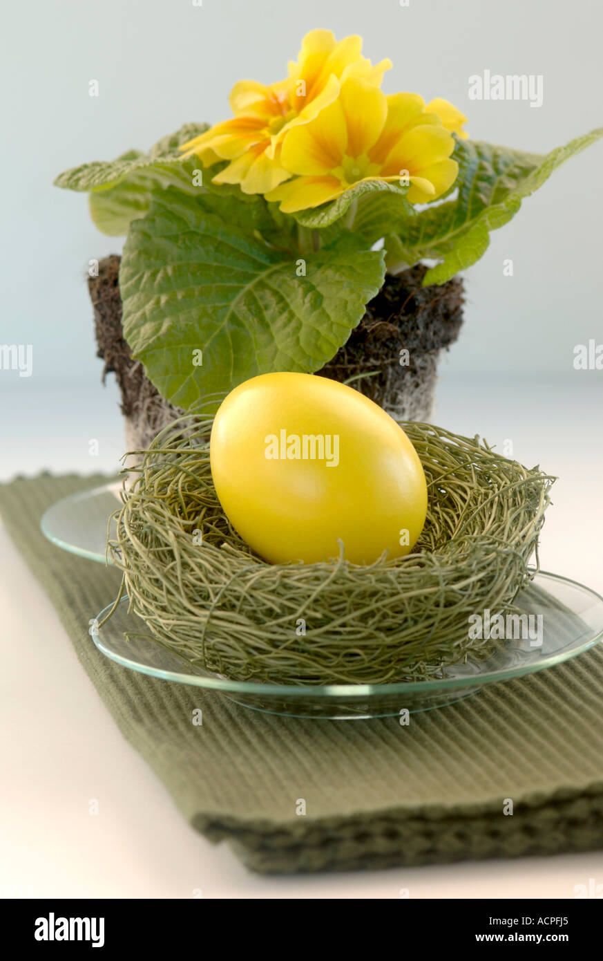 Bowl easter eggs leaves hi-res stock photography and images - Alamy