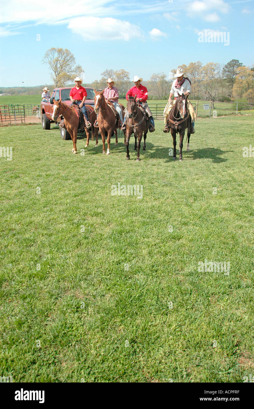 Ellijay roundup of cattle at the 74 dude ranch in north Georgia by ...