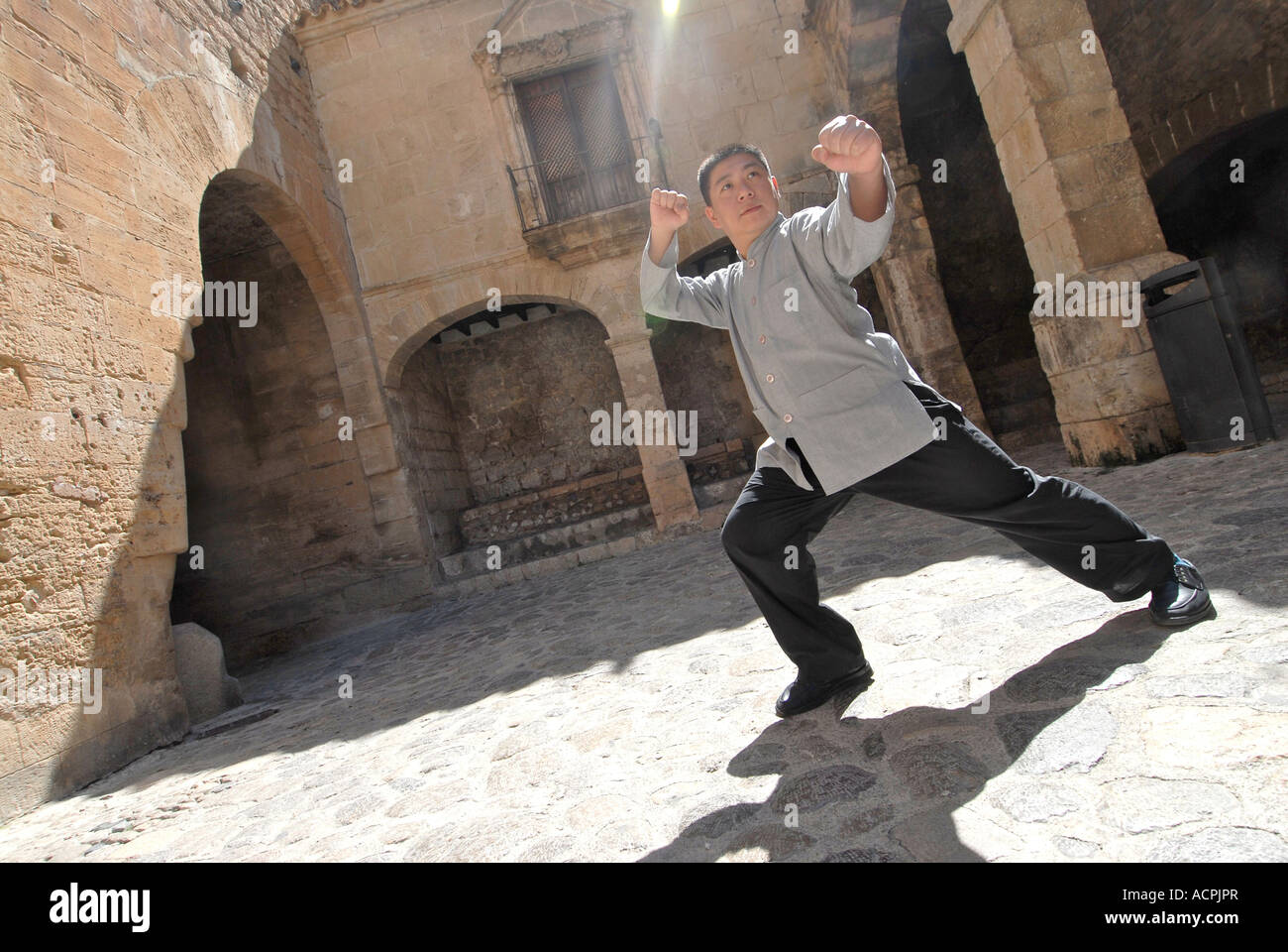 Portrait of Fu Qing Quan Master and authentic descendant of Yang Tai ...