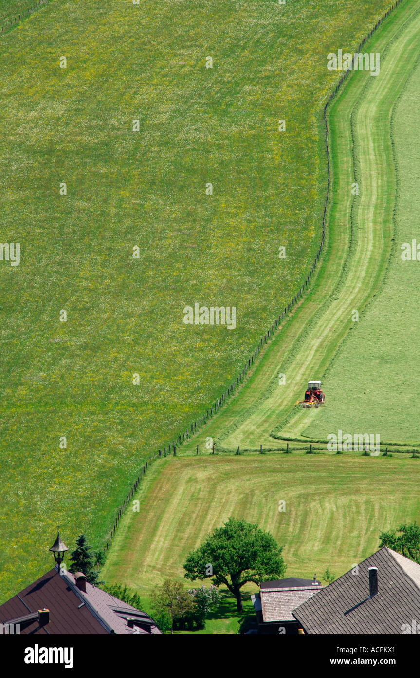 Tractor mowing hay Stock Photo - Alamy