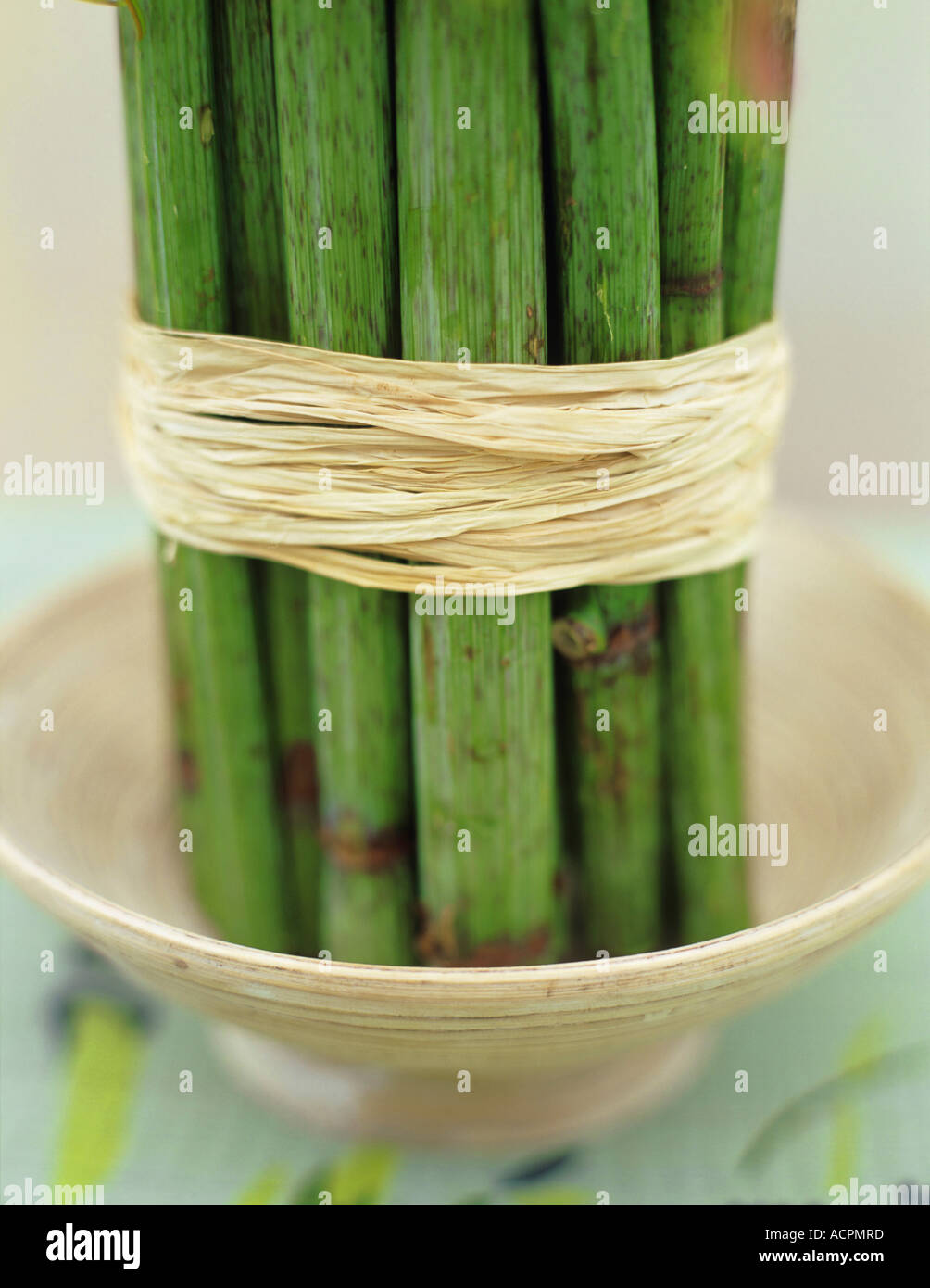 Bast images hi-res stock photography and images - Alamy