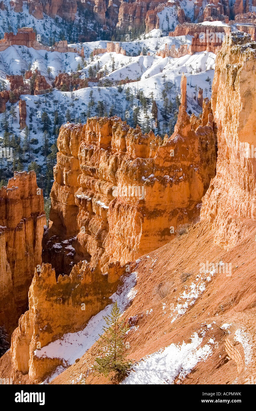 A picture illustrating some of the many of the features of Bryce Canyon ...
