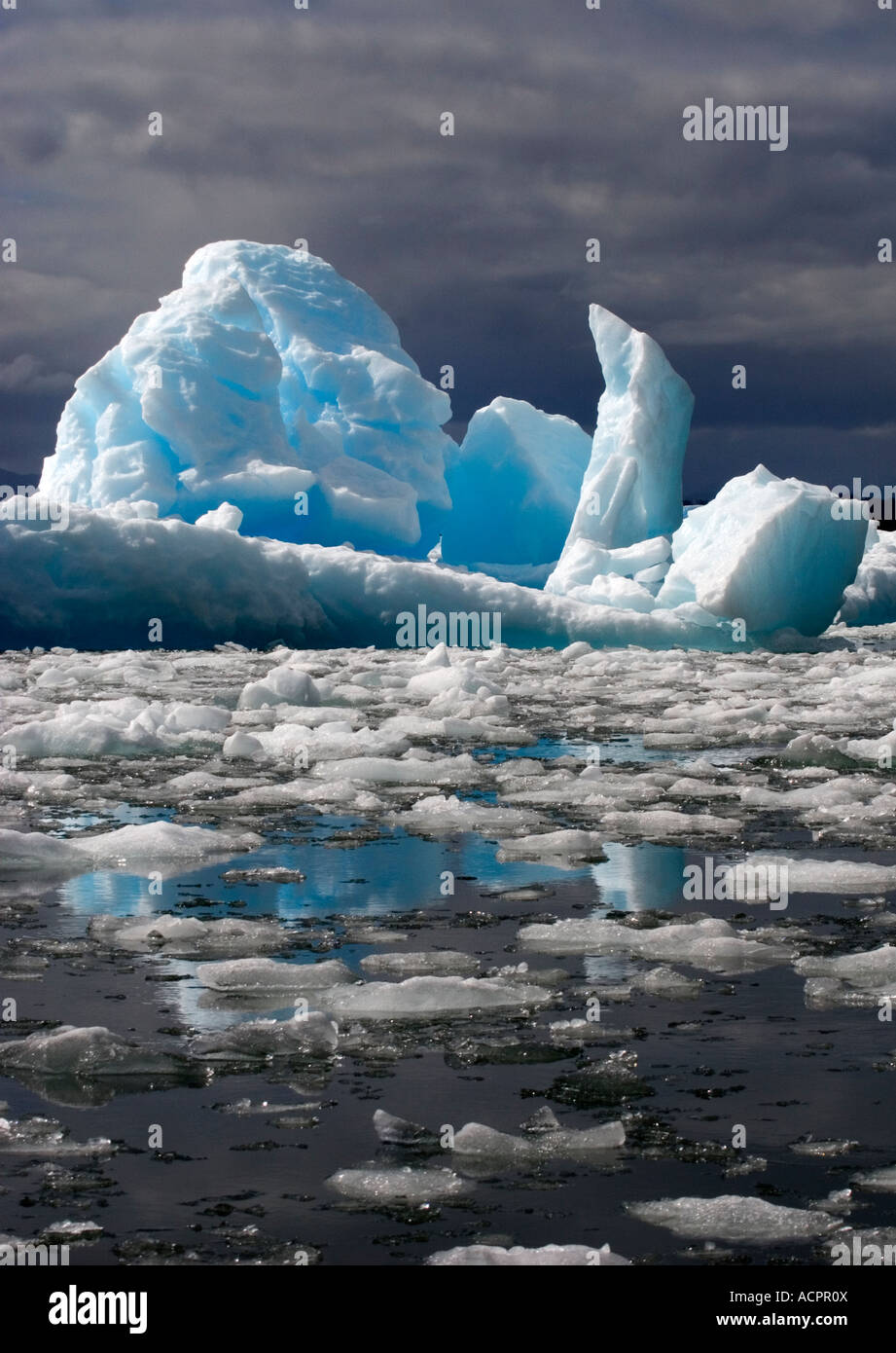 Iceberg, San Rafael Glacier, Patagonia, Chile Stock Photo - Alamy