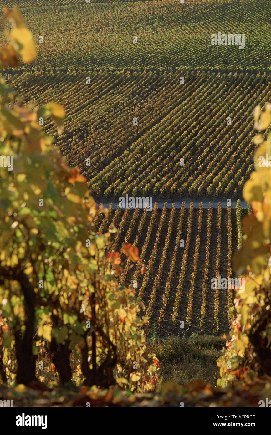 Reims mountains hi-res stock photography and images - Alamy