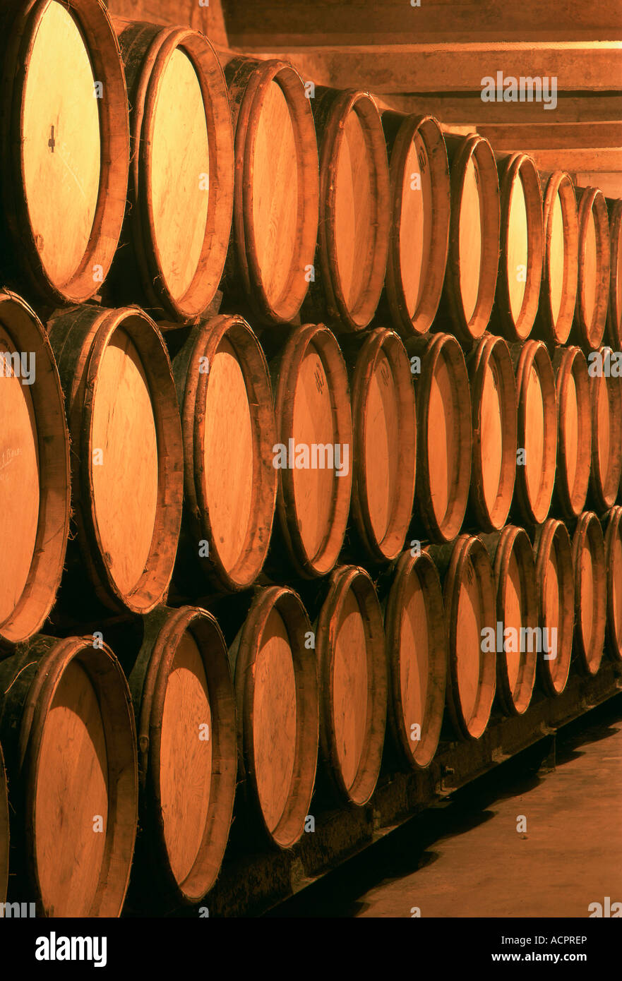 Casks aligned and stacked in cellar Stock Photo - Alamy