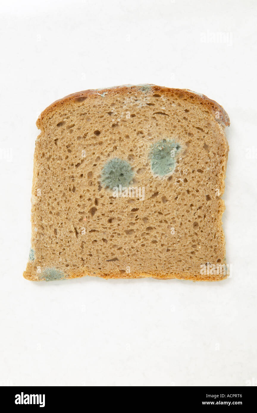 Moulded objects hi-res stock photography and images - Alamy