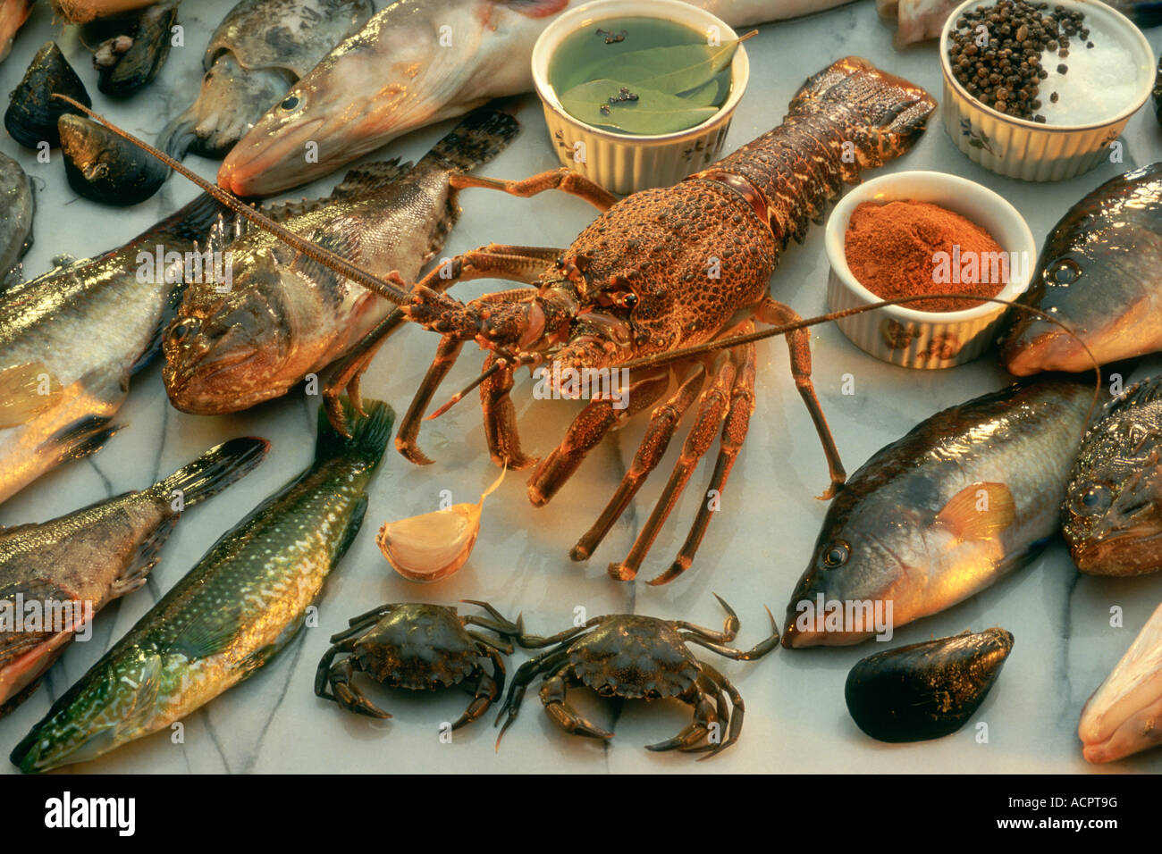 Composition fishes and crustaceans Stock Photo - Alamy