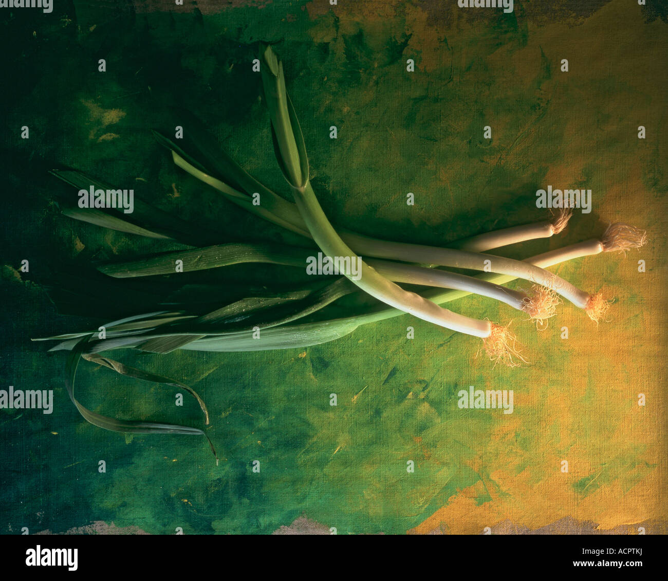 Elevated view on 5 leeks Stock Photo - Alamy