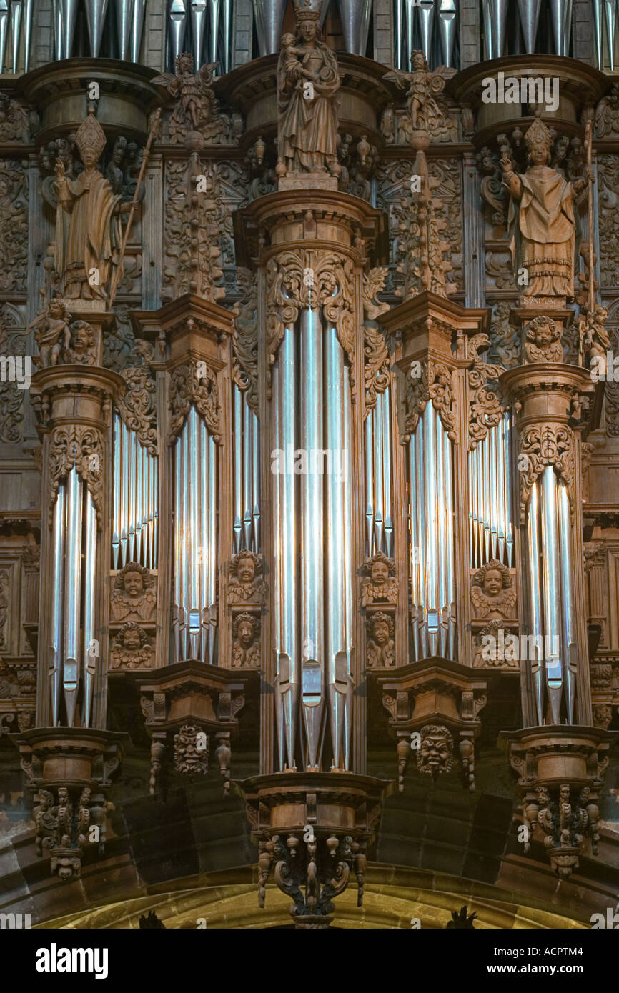 Cathedral of Rodez - Aveyron - France Stock Photo - Alamy