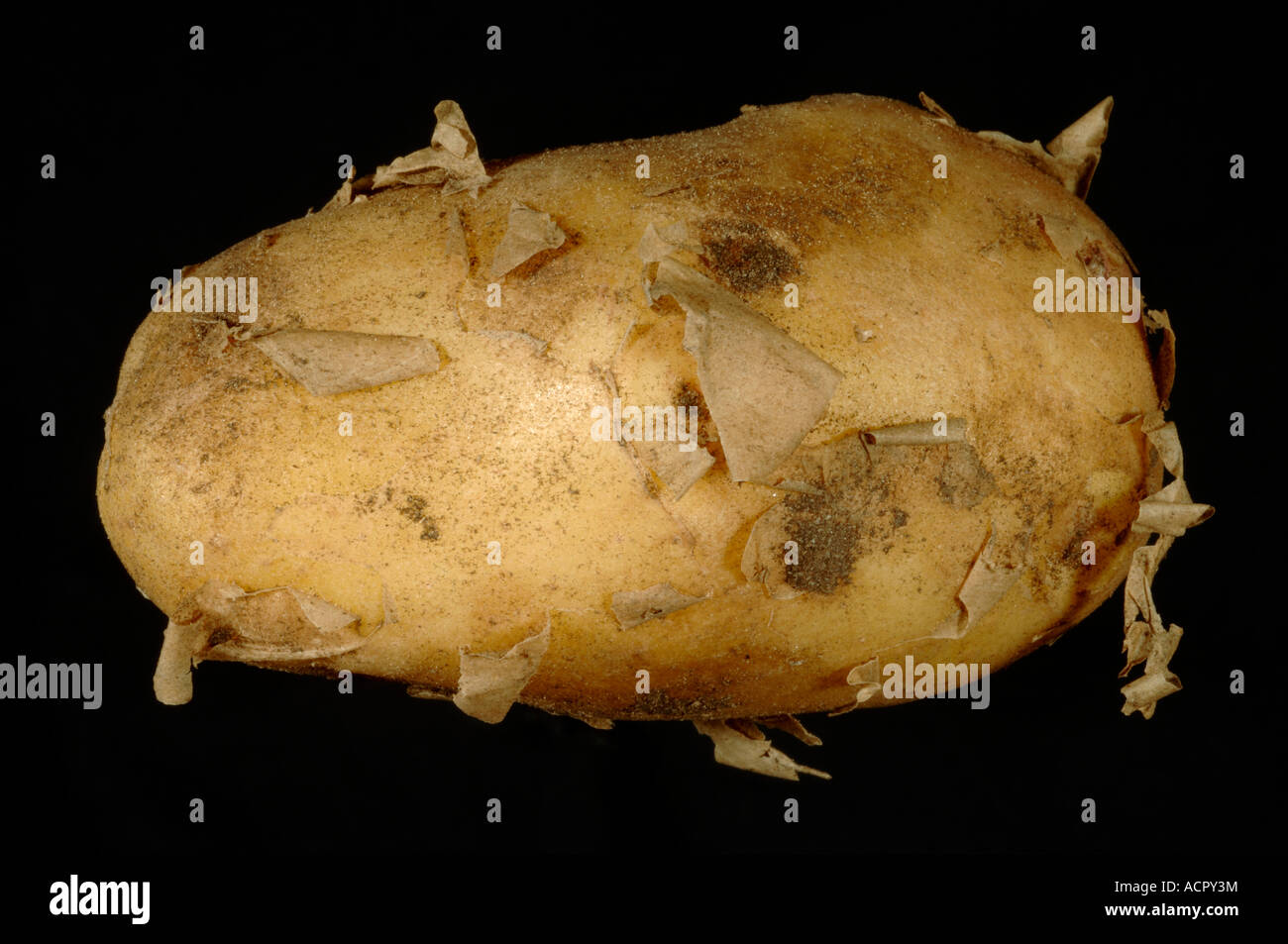 Loose skin hi-res stock photography and images - Alamy