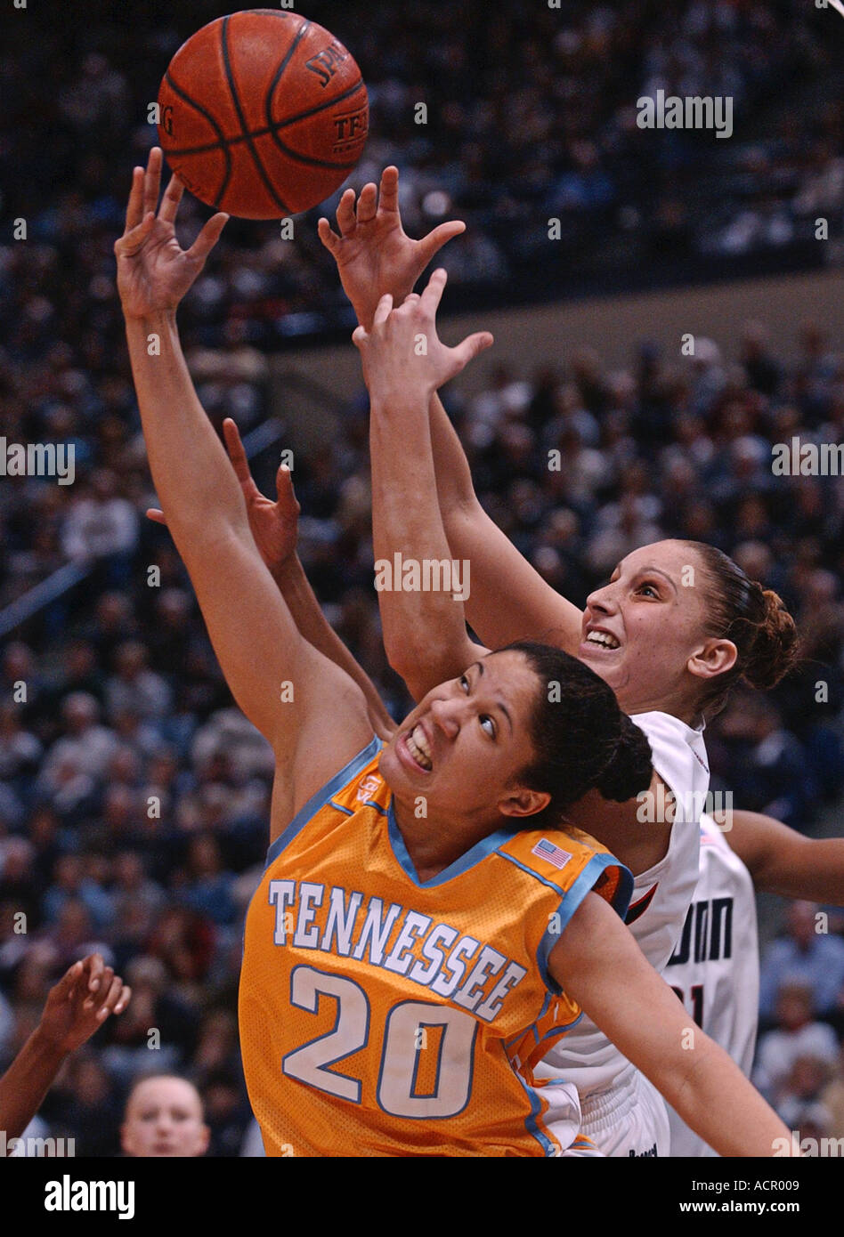 Diana Taurasi Uconn Basketball