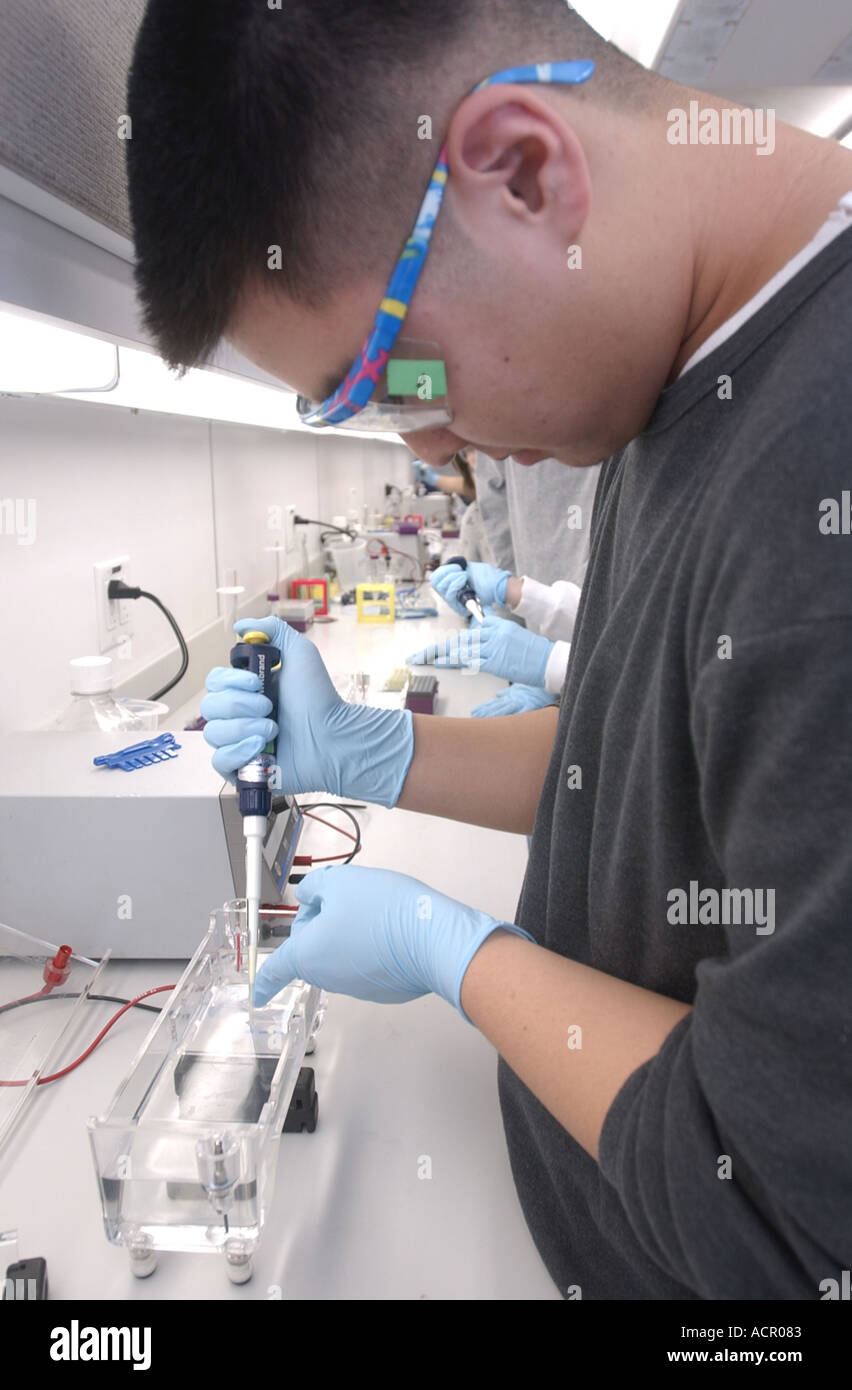 Extracting DNA in a petri dish during a high school science class Stock ...