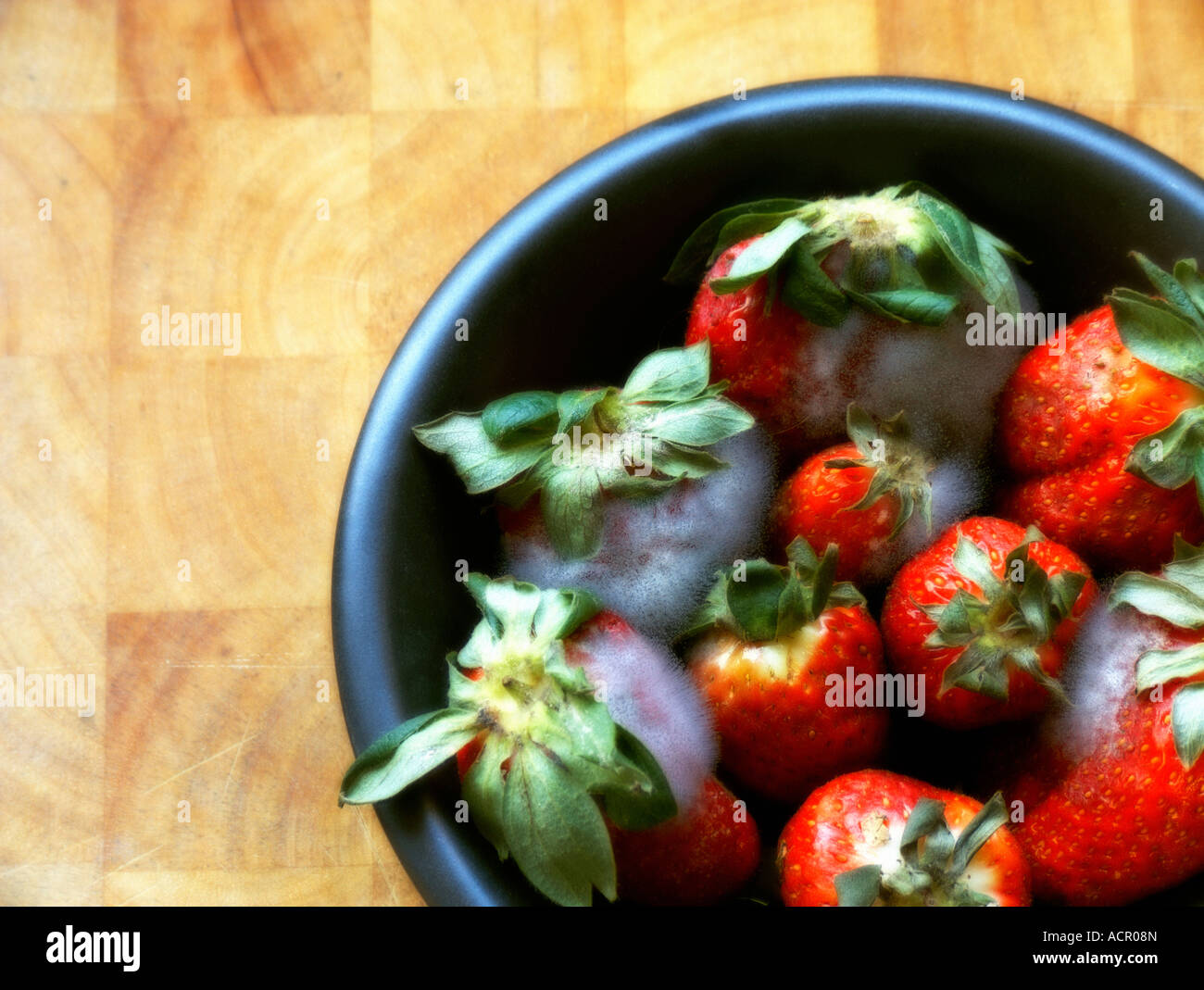Decay rotting mouldy strawberries hi-res stock photography and images ...