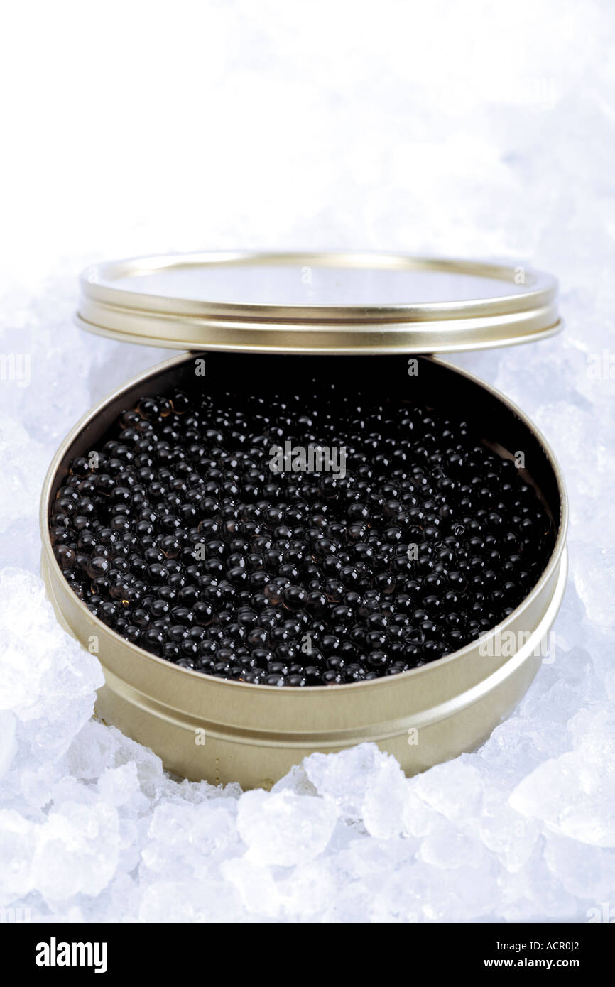 Iranian Beluga Caviar