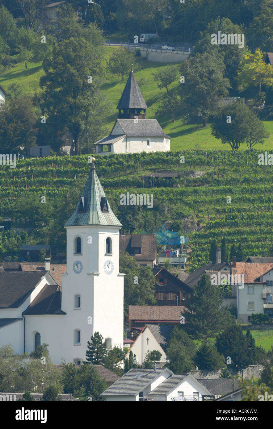 The town of Triesen with its church Sankt Gallus and the small chapel ...