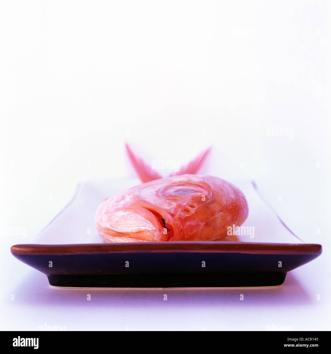 Fresh red snapper fish seafood on its side with large clear eyes and ...