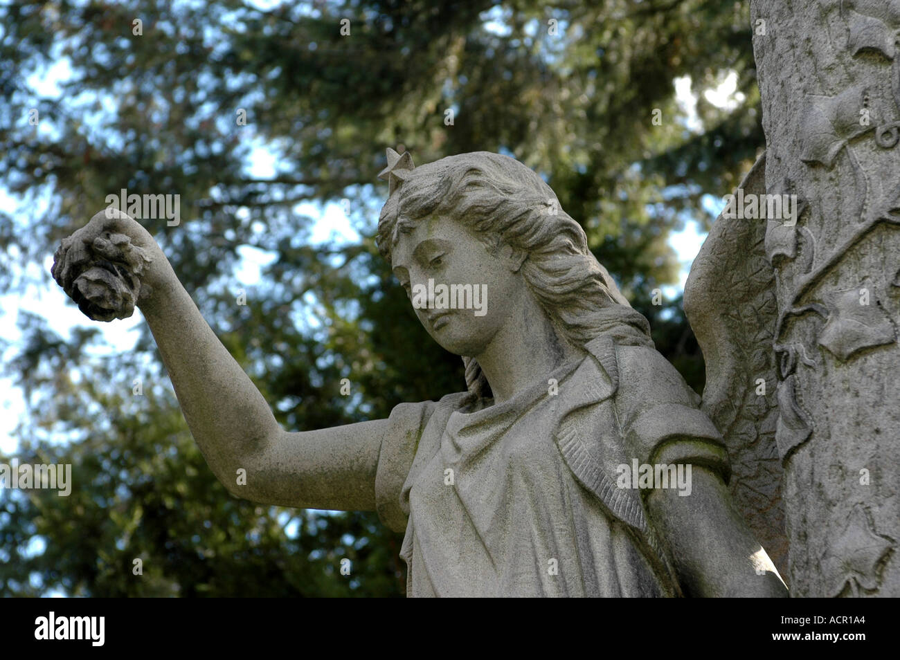 Angle in a cemetery Stock Photo - Alamy
