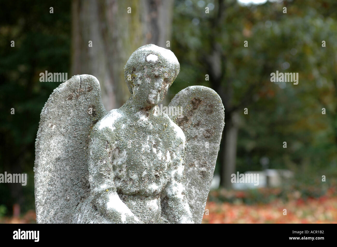 Angle in a cemetery Stock Photo - Alamy