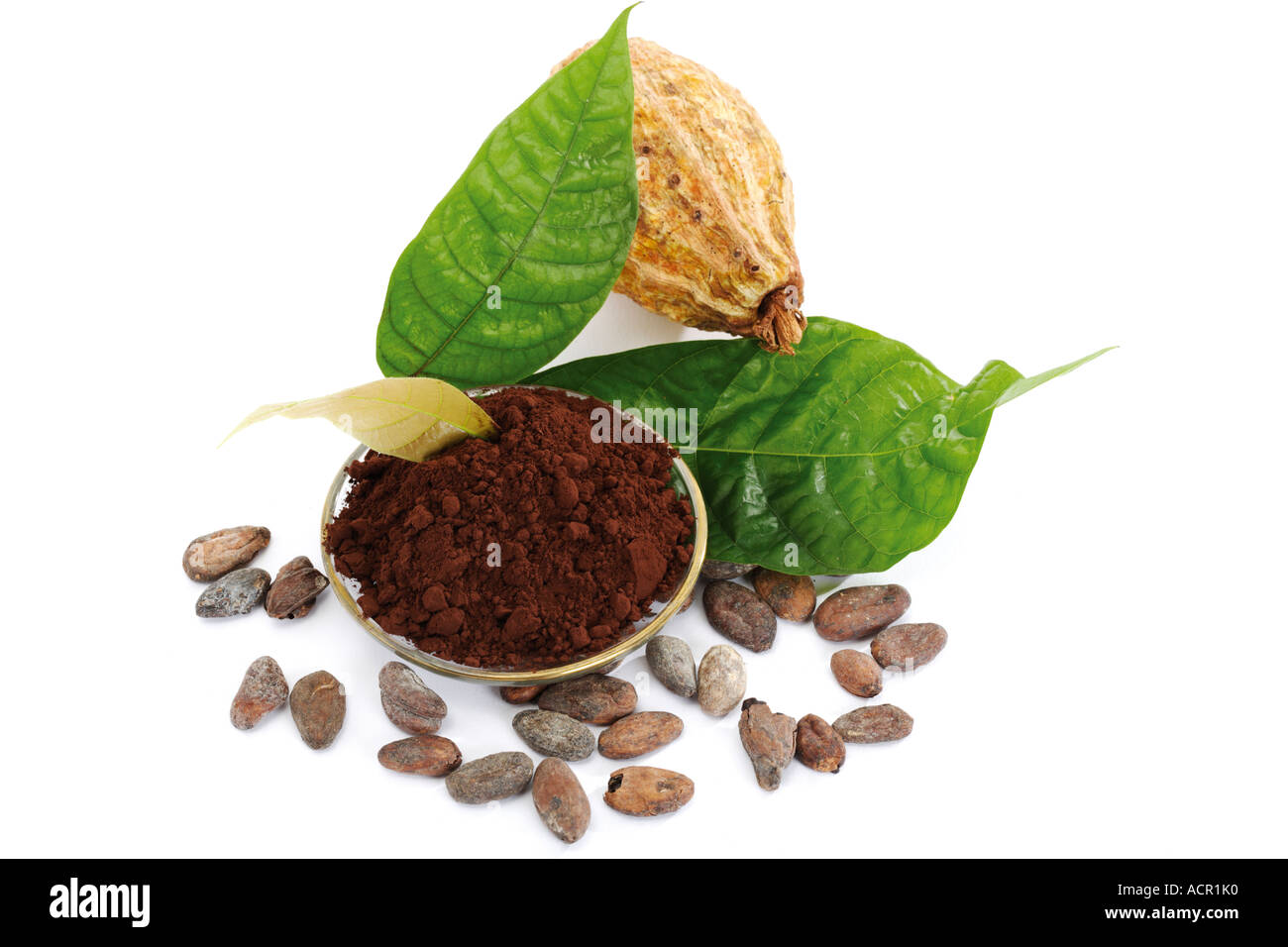 Cocoa beans chocolate powder Cut Out Stock Images & Pictures - Alamy