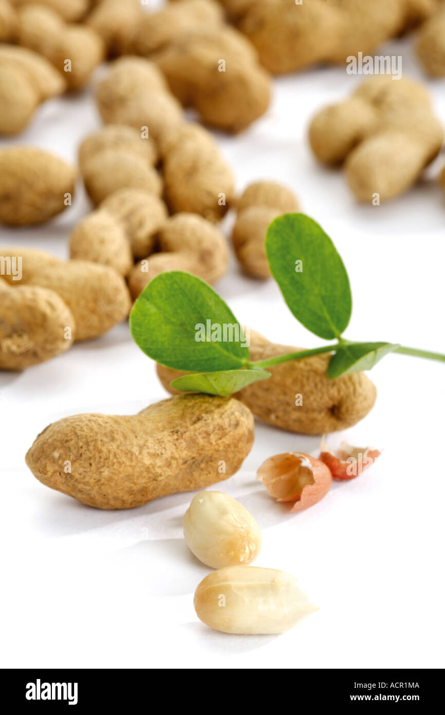 Closeup shot unpeeled peanuts hi-res stock photography and images - Alamy