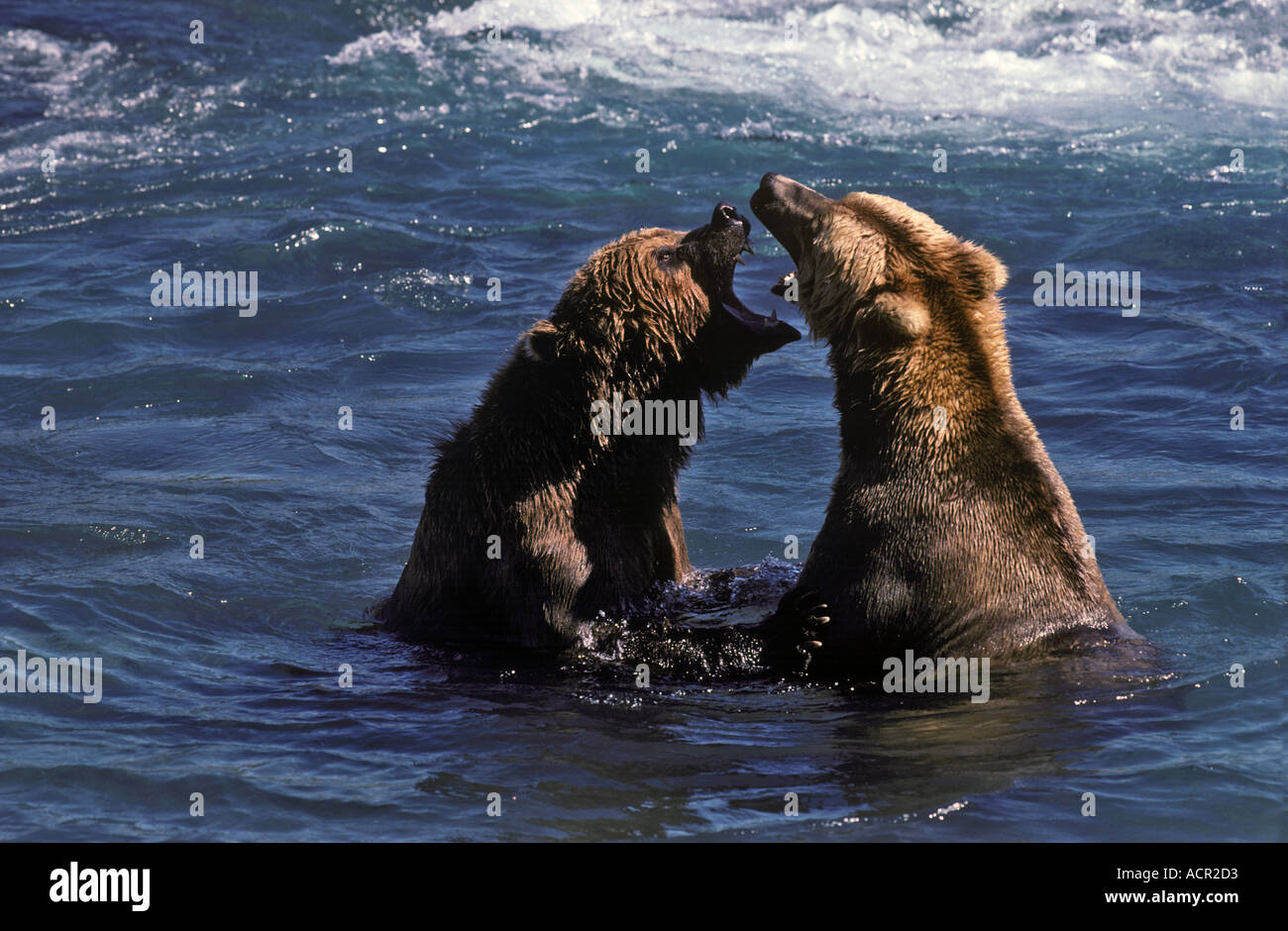 Mcneil river hi-res stock photography and images - Alamy
