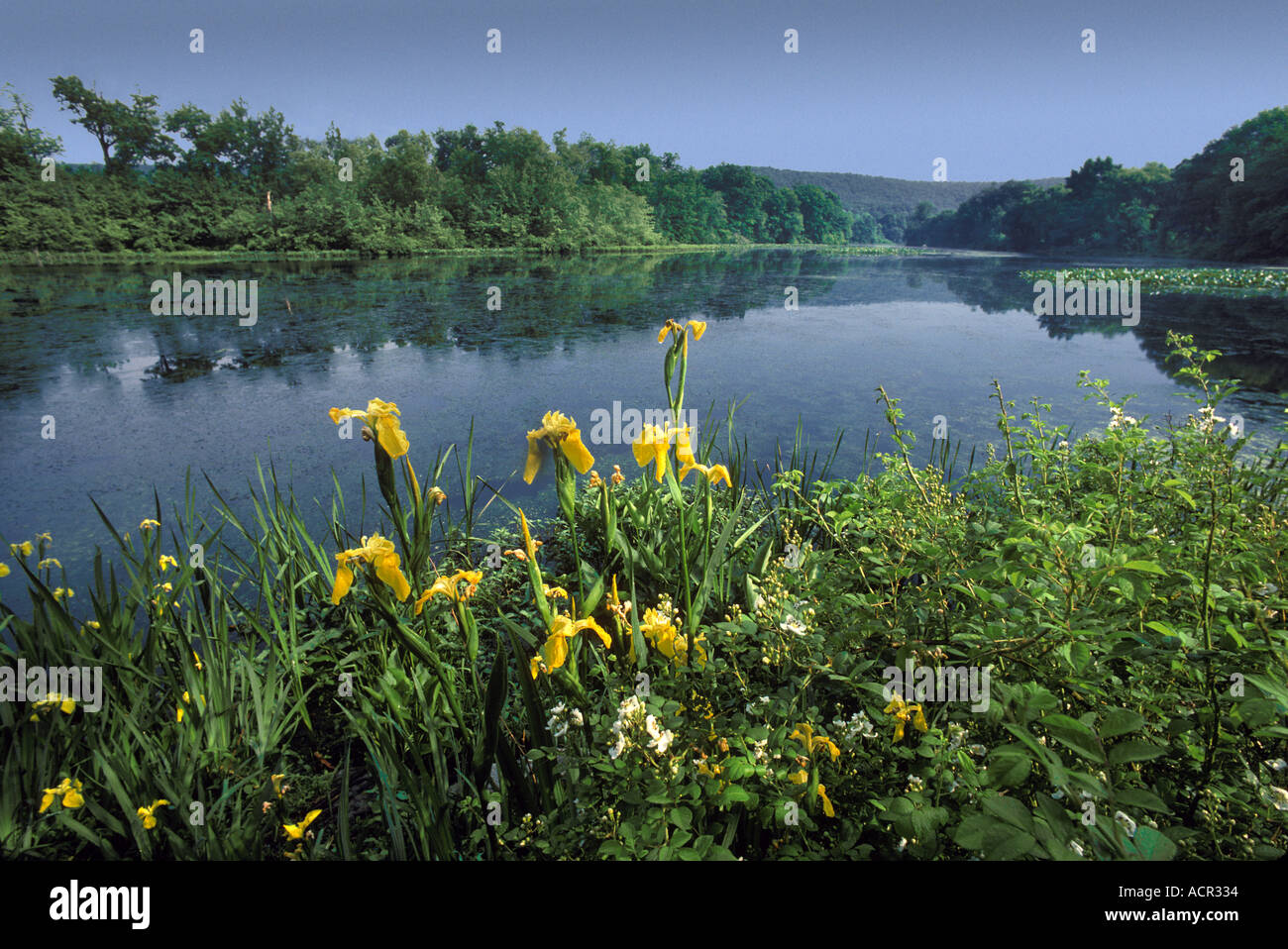 Succasunna river hi-res stock photography and images - Alamy