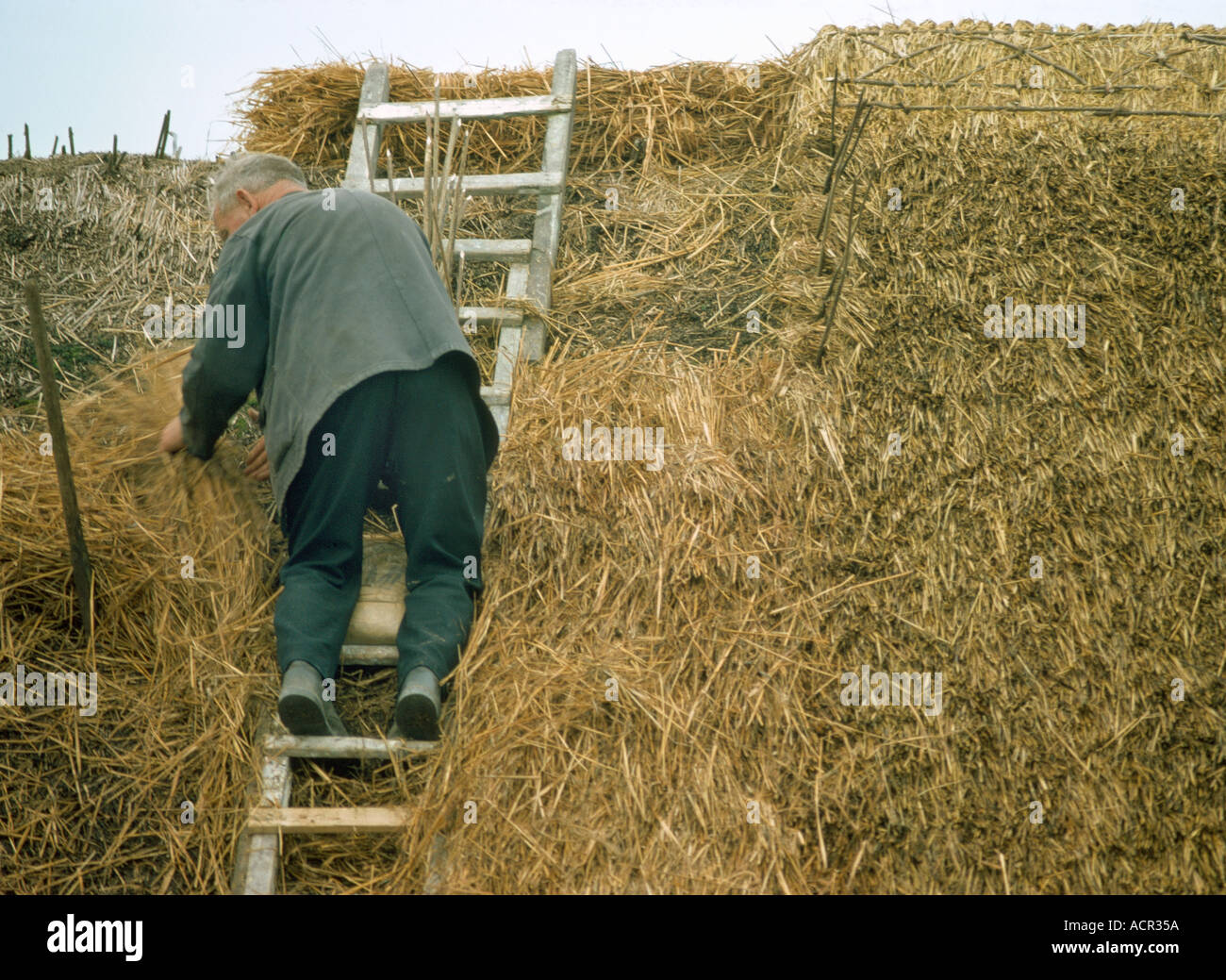 Traditional crofter cottage hi-res stock photography and images - Alamy
