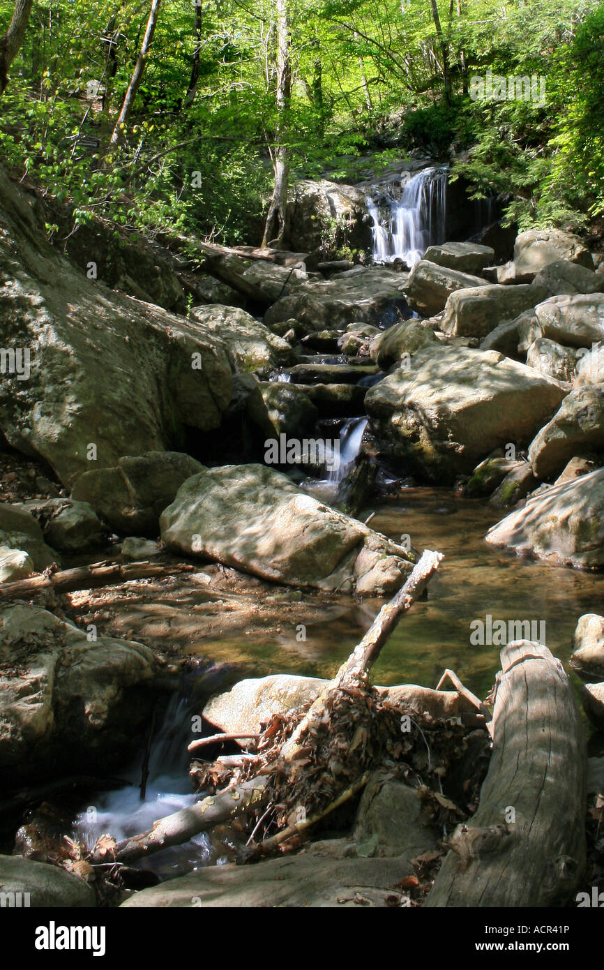 Waterfall in Patapsco State Park in Ellicott City Maryland USA Stock ...