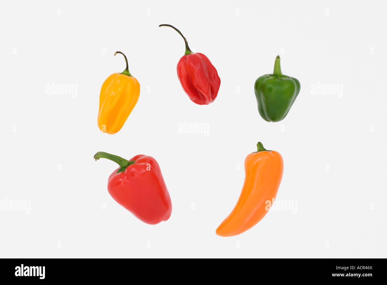 Capsicum sp hi-res stock photography and images - Alamy
