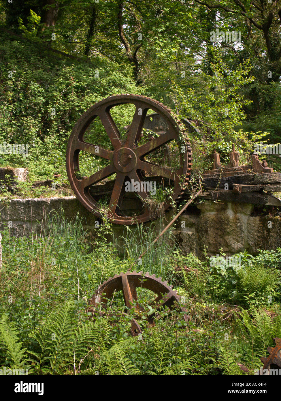 Rusty cogs reclaimed by Nature Stock Photo - Alamy
