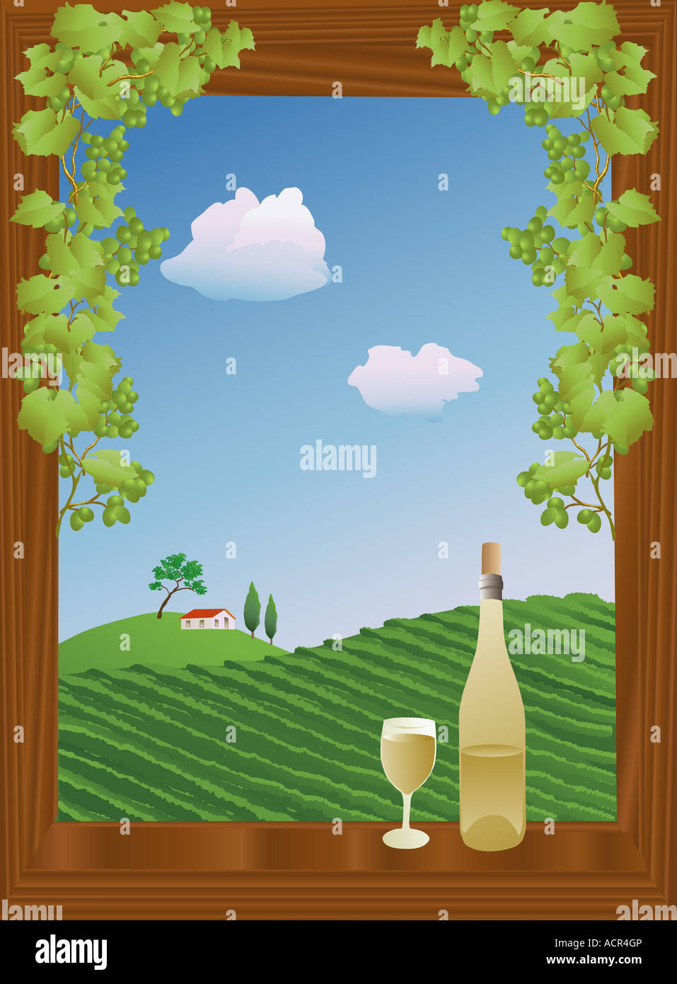 window with a view of a vineyard in summer with wine on the windowsill ...