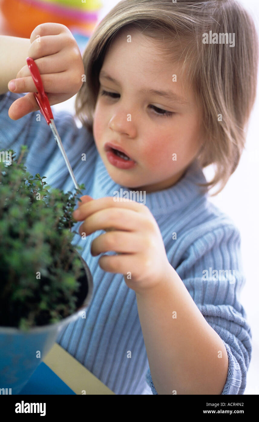Child herb 4 5 years hi-res stock photography and images - Alamy